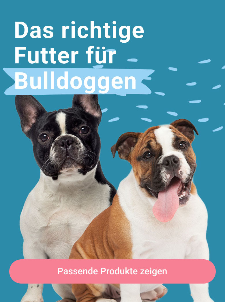 Die Wahrheit über Hundefutter - Was die Industrie Ihnen nicht sagt, kö ...
