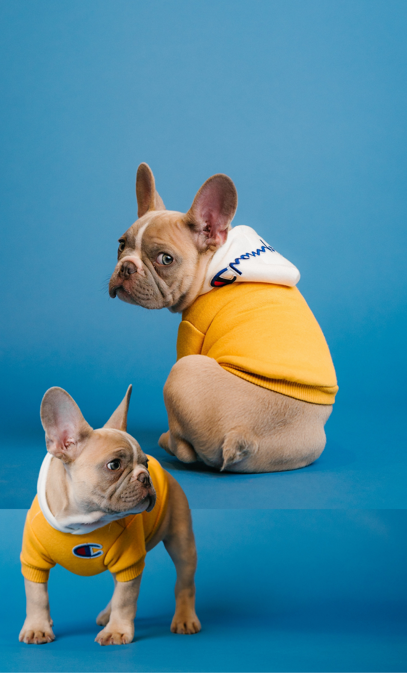 Dogs Supreme © Online-Shop | Exklusive Hundeaccessoires